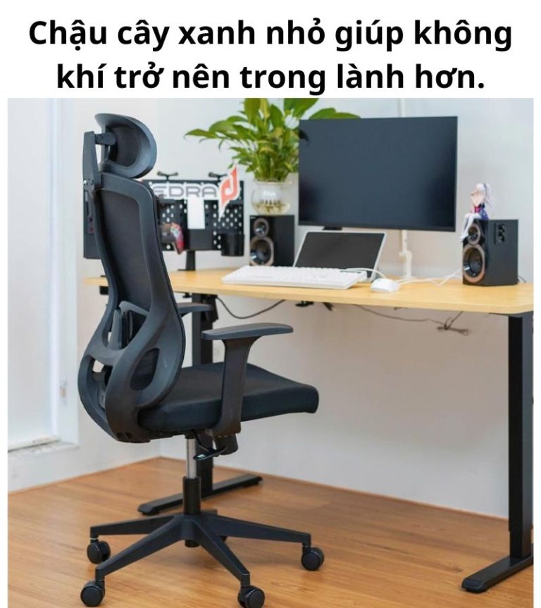 10 Tip Setup Góc PC Làm Việc Siêu Chill 2025 | DandiHome